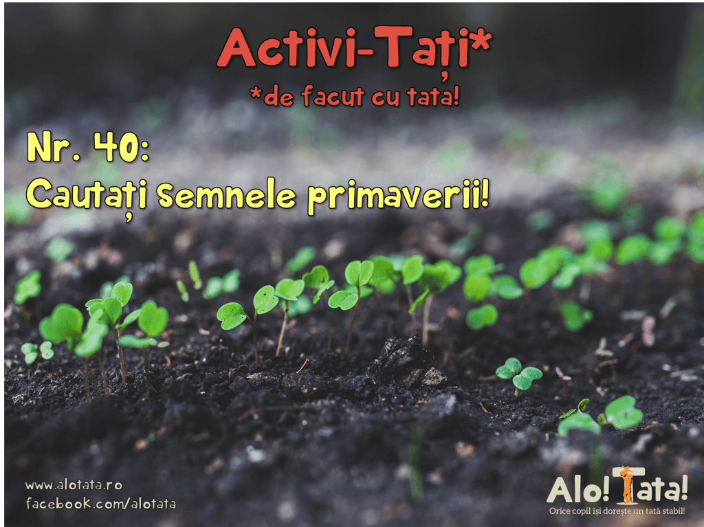 ACTIVI-TATI NR.40 – Alo! Tata!